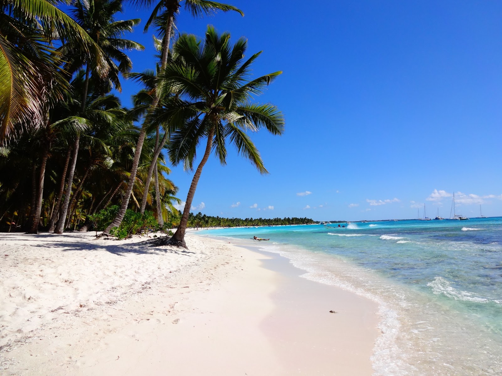 Exploring the Dominican Republic: Bayahibe and Isla Saona, Dominican ...