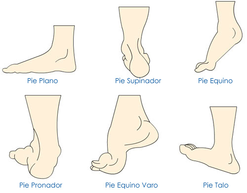El rincón de la pecosa: EL PIE Y LA PEDICURA