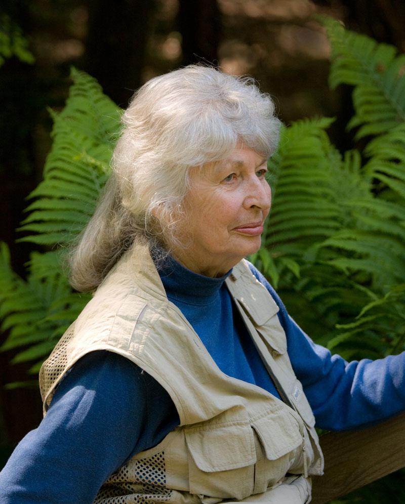 The Painted Prism: WOMEN ARTISTS: Jean Stull