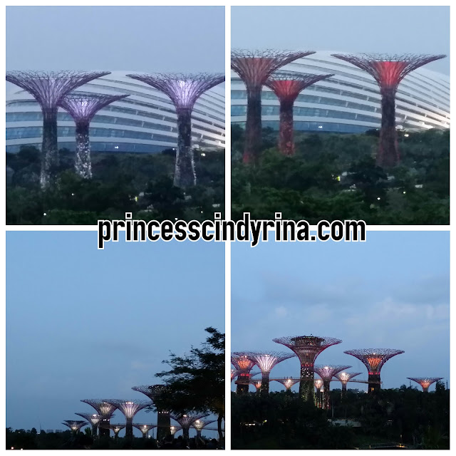 AVATAR TOWER AND DANCING LIGHTING SHOW