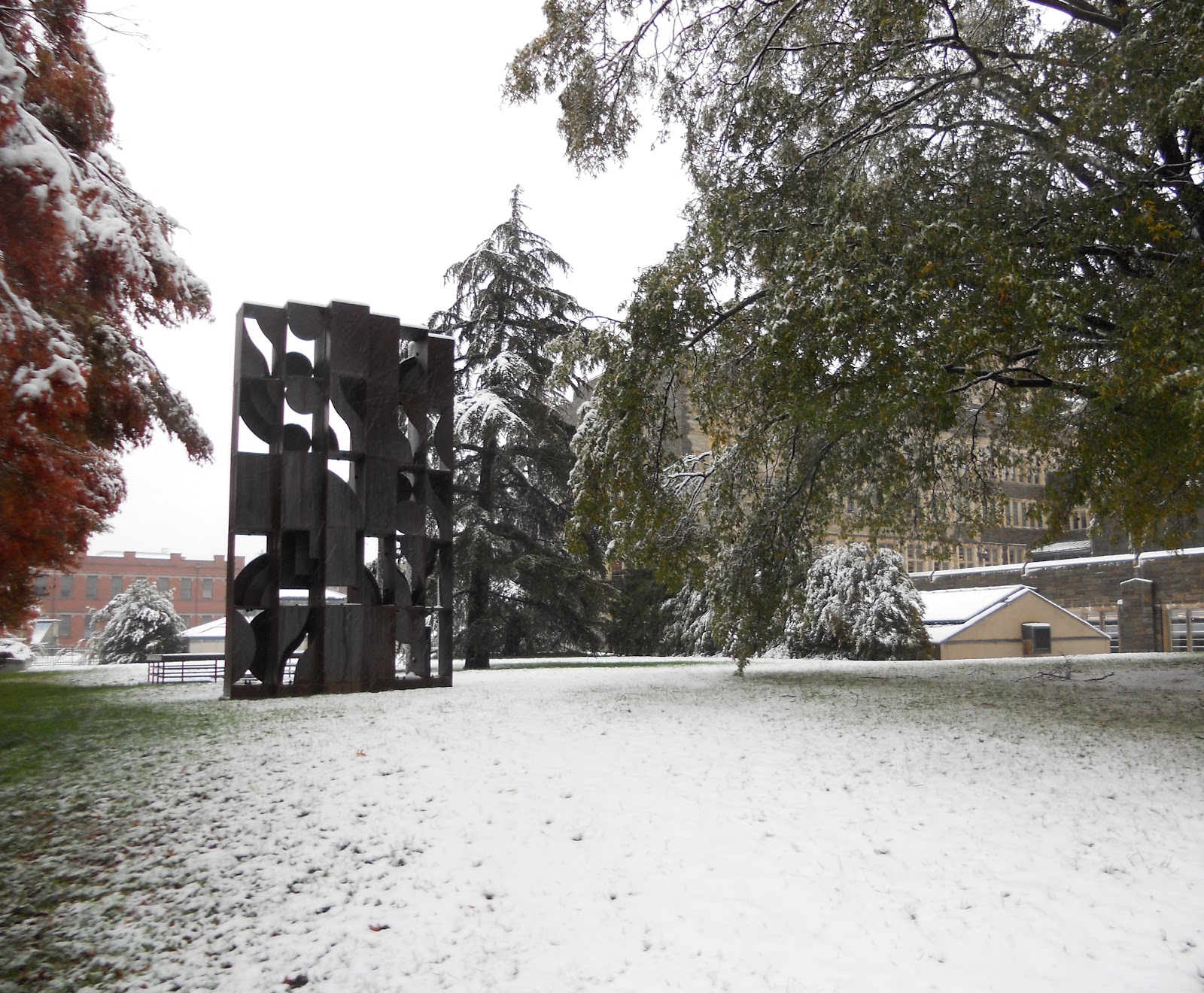 Nature Photography: First Snow at Princeton