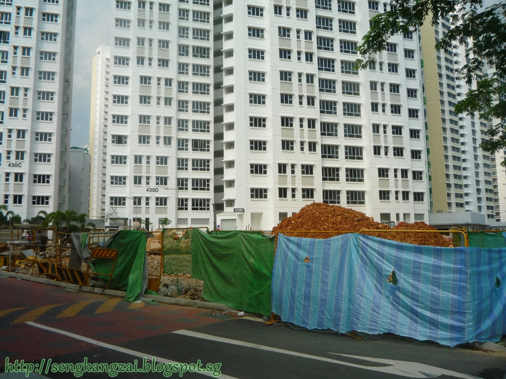 Zai@Sengkang: Fernvale Ridge Snapshot (Completed)