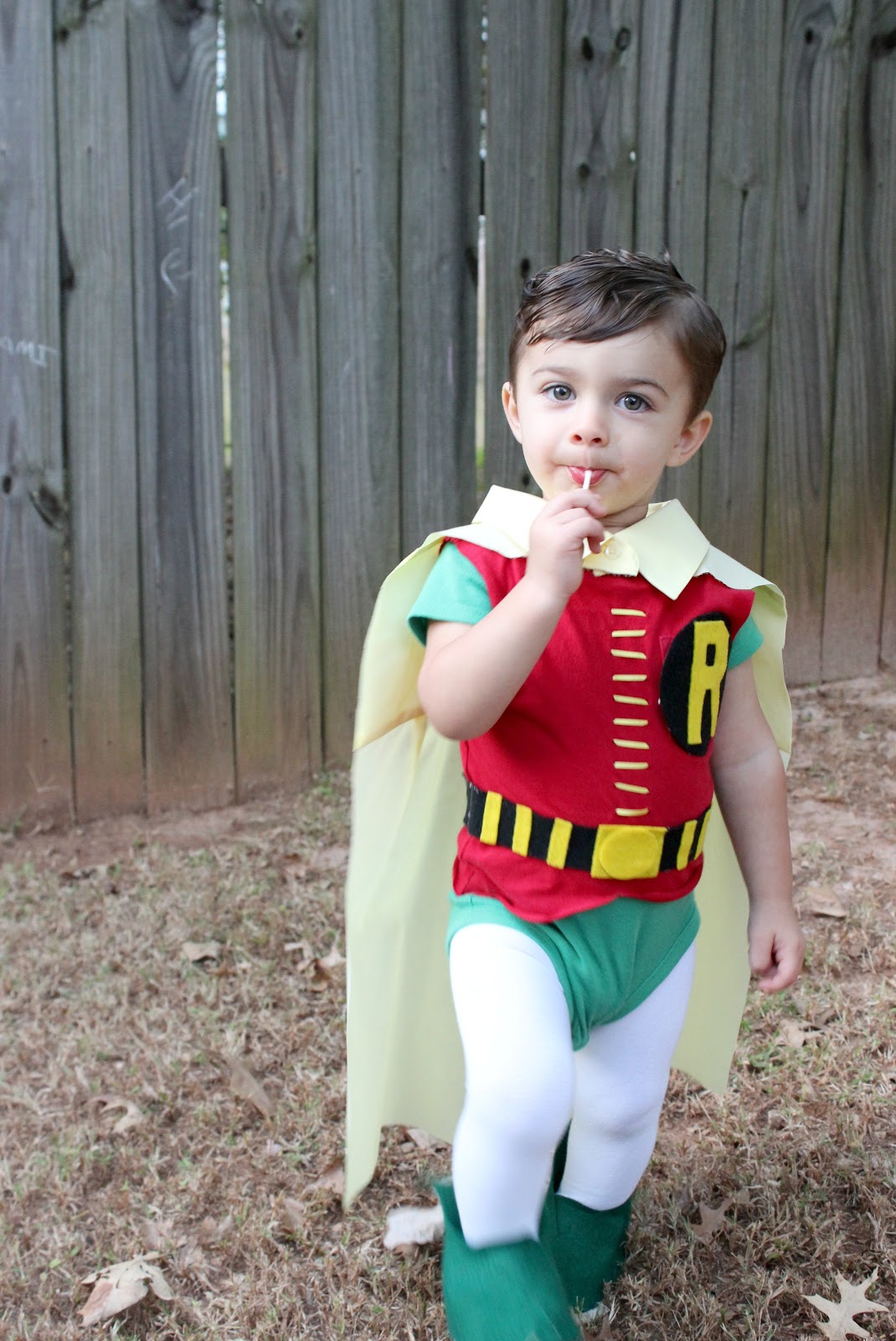 Robin Kids Costume