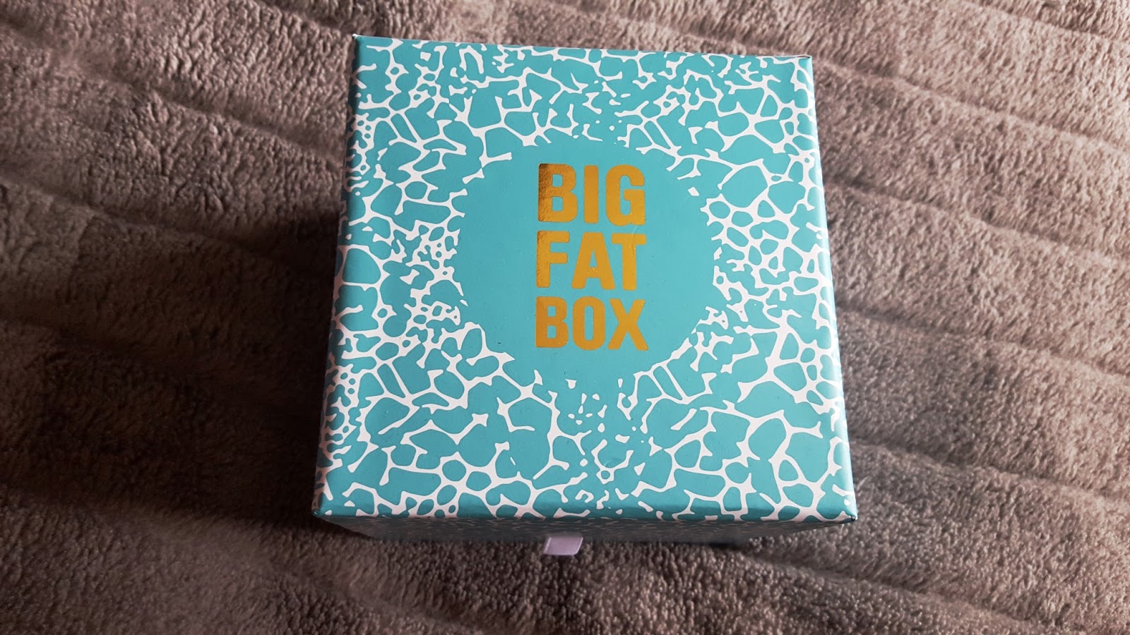 Review: The BIG FAT BOX from Cheerz | Leonni's Little Blog