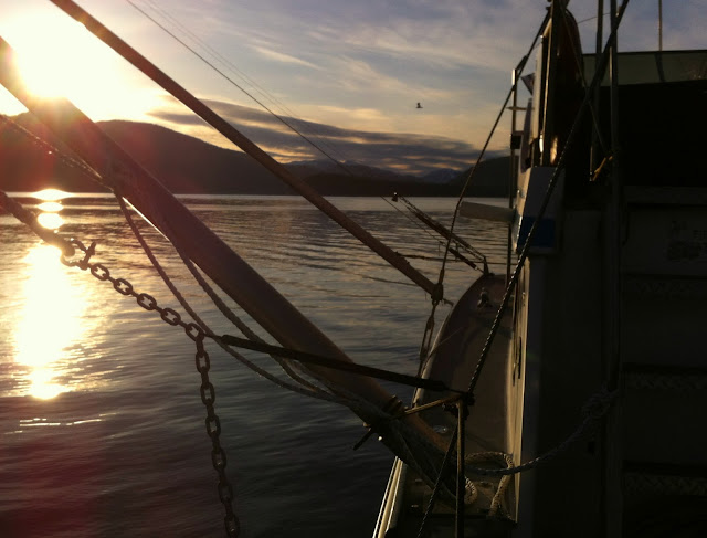 Sandra's Alaska Photography: April 2013: Commercial King Salmon Power ...