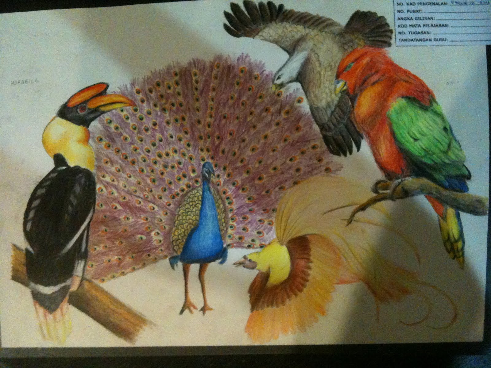 83+ Sketsa Lukisan Fauna Simple, Gambar Lukisan