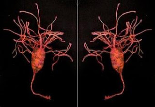 The Cellular Scale: September 2012