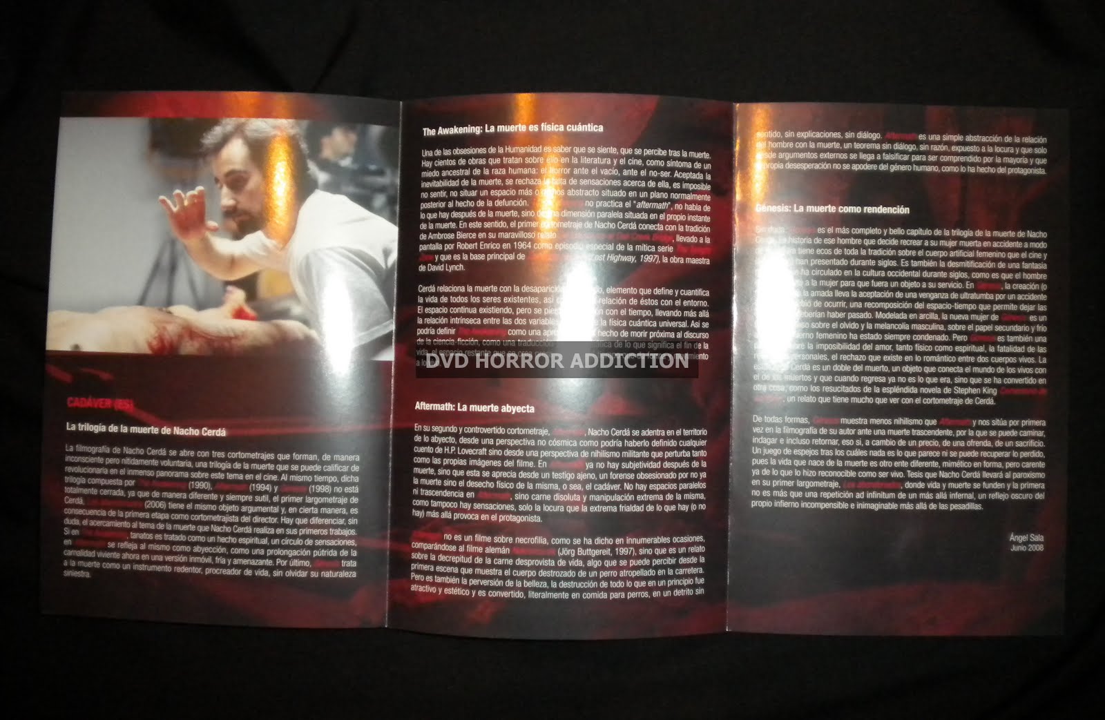 HORROR ADDICTION DVD & BLU-RAY: AFTERMATH 1994