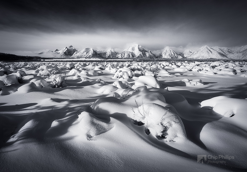 :: Alexandra Proaño 3D - Green Pear Diaries ::: Chip Phillips, la ...