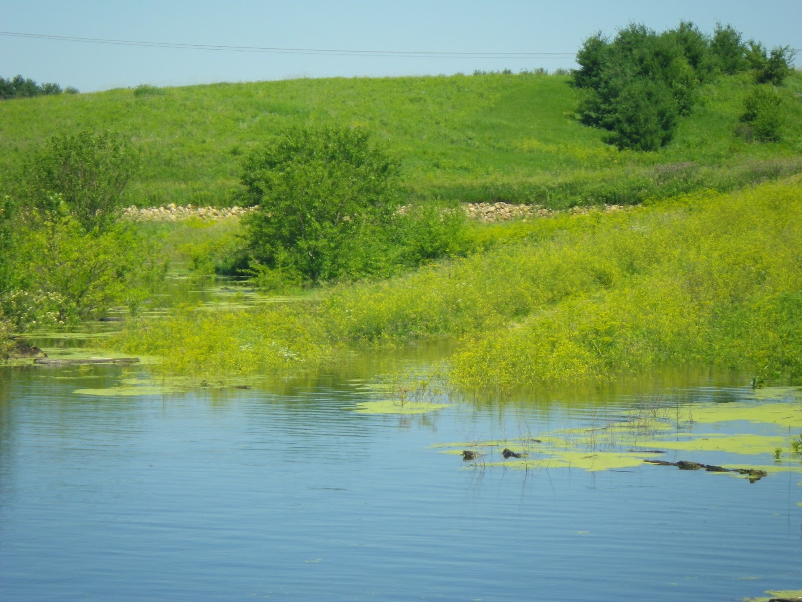 The Lost Grove Lake Mapping Project