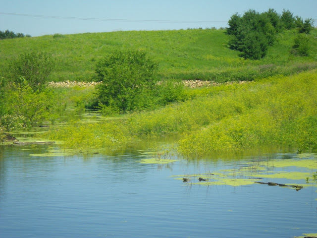 The Lost Grove Lake Mapping Project