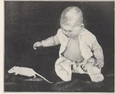 Corrientes Contemporáneas de la Psicología, Sensación y Percepción ...