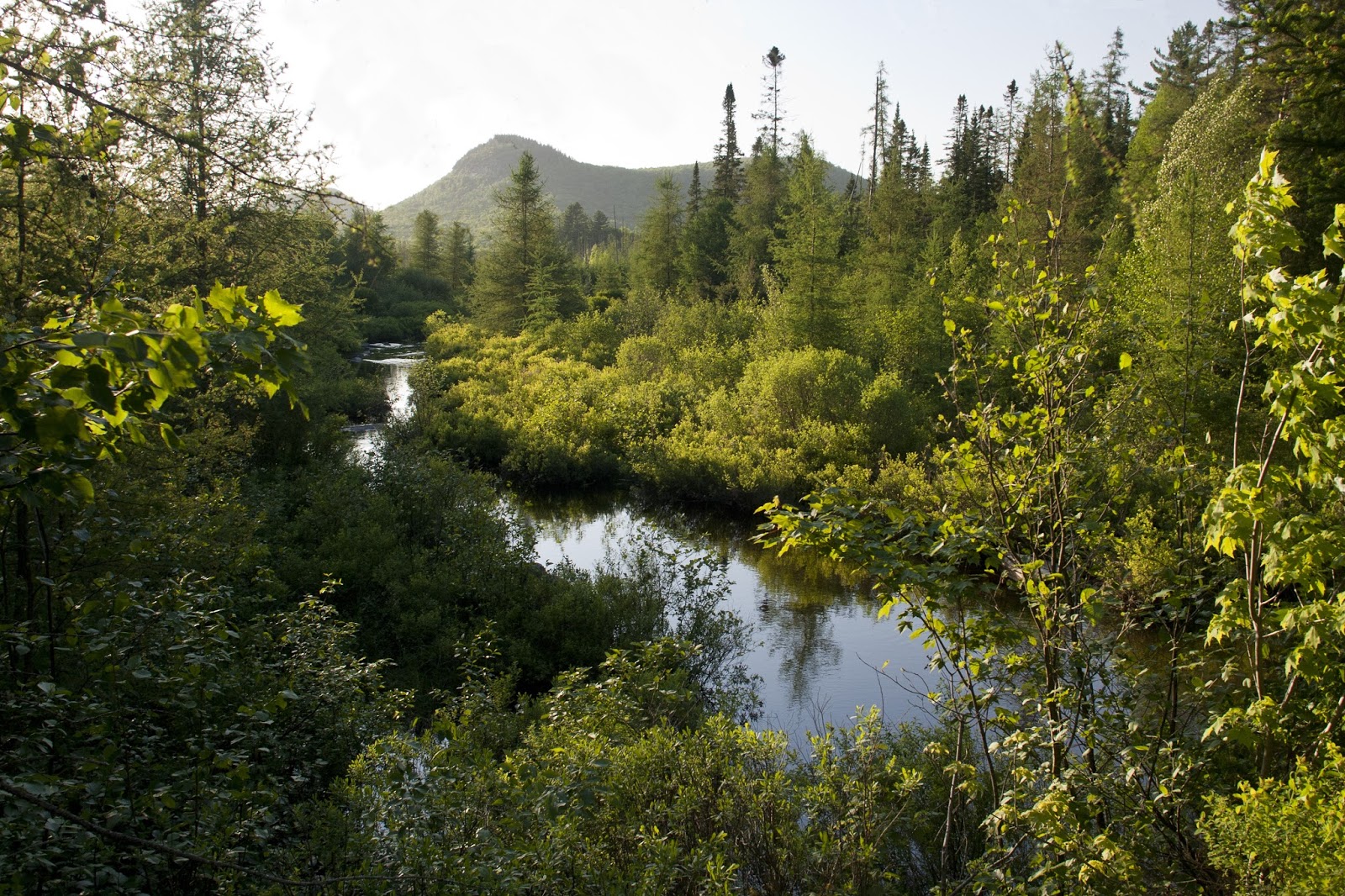Groton State Forest Guide
