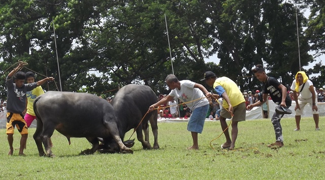 mybeautifulILOILO: Celebrating History and Culture with San Joaquin’s ...