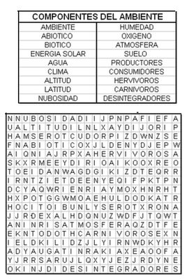 ECOSISTEMAS CONSUELO