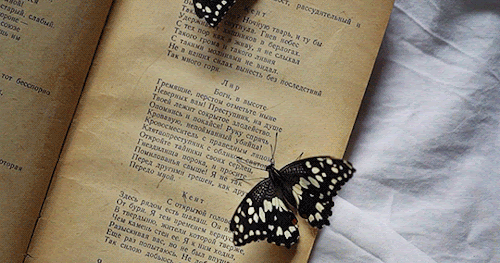 AUTODIDACTA: ¿Libros impresos?...