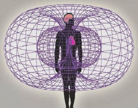 KIKKA: EL TOROIDE LA DONA: LA TIERRA ES HUECA: DELFINES: FIGURA ...