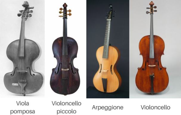 El Violonchelo. Organología del instrumento.