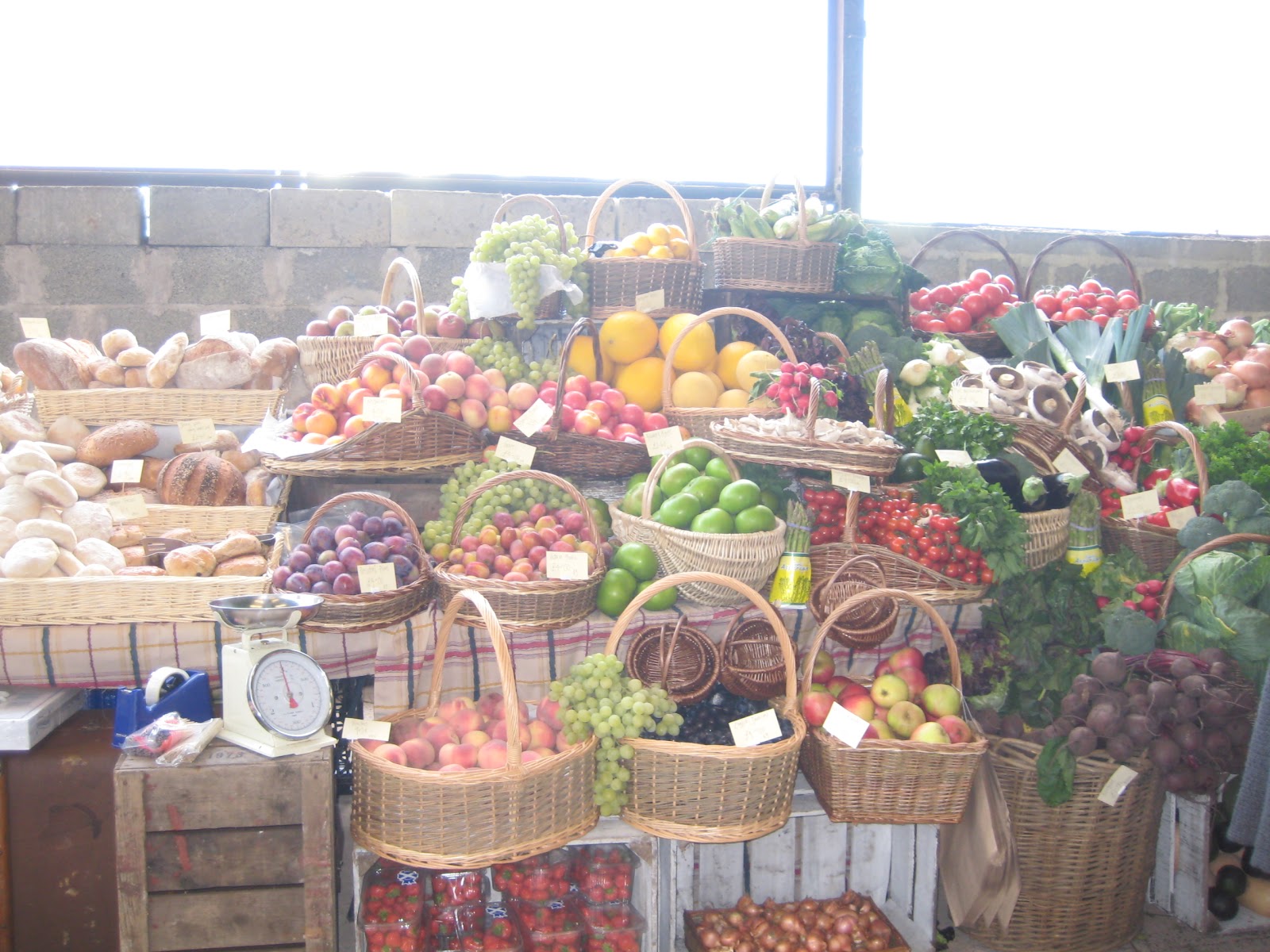Brampton Pottery: Pots and Food at wardlow Mires