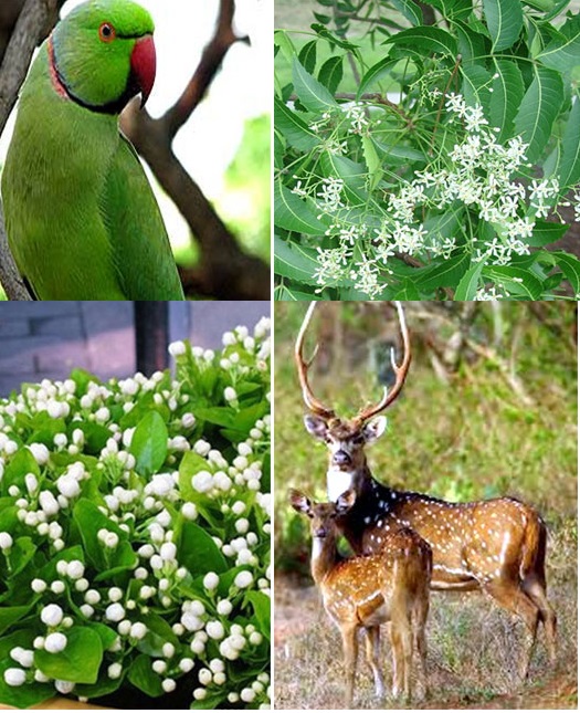 Yak Novel Patch Symbols For Andhra Pradesh - healthy life from the expert