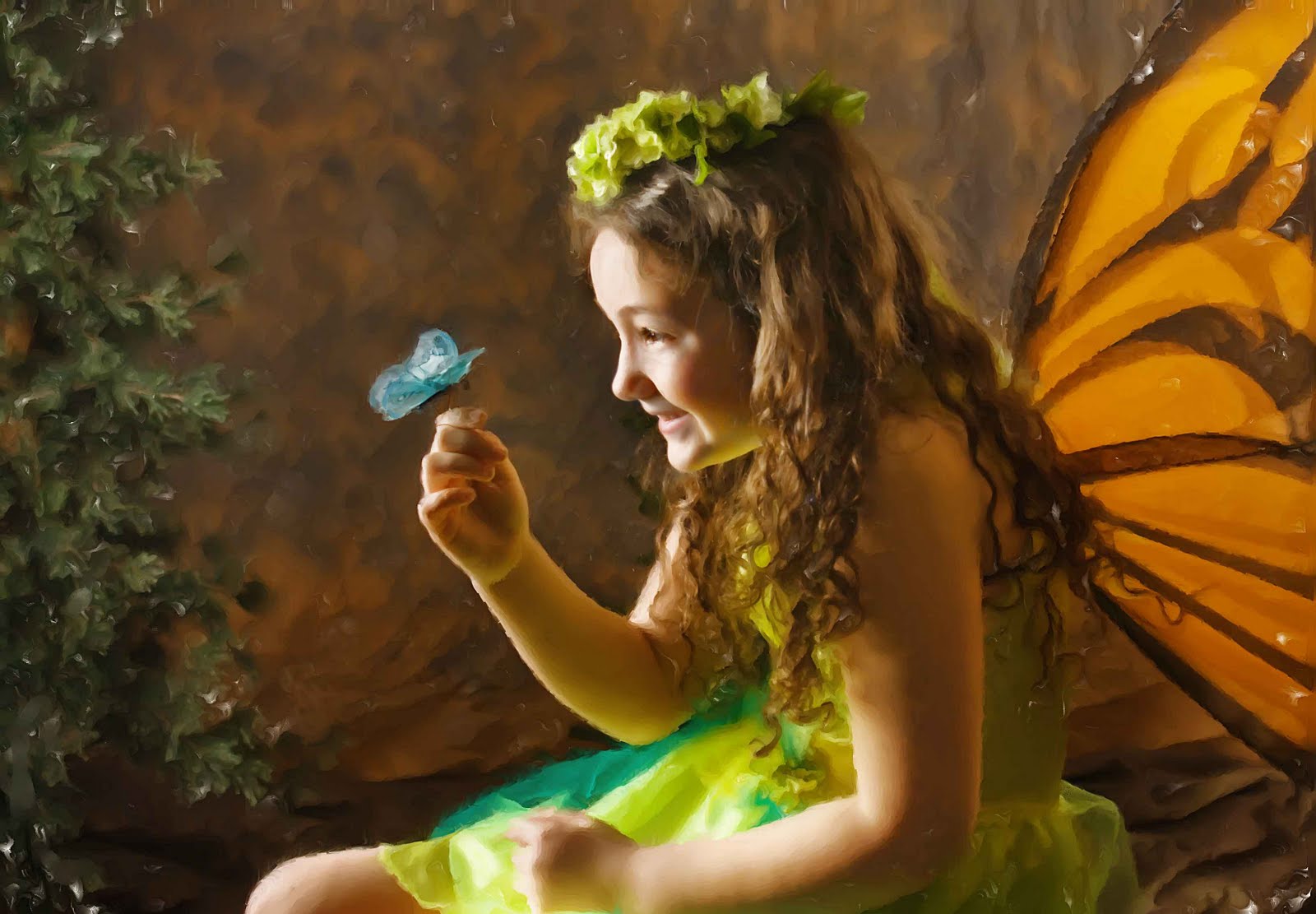 Terry Wingfield Photography: Enchanted Forest Fairies