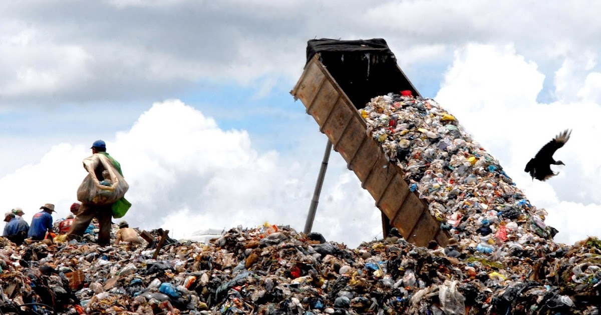 Scholling: Tema em foco: Lixo, material que se joga fora