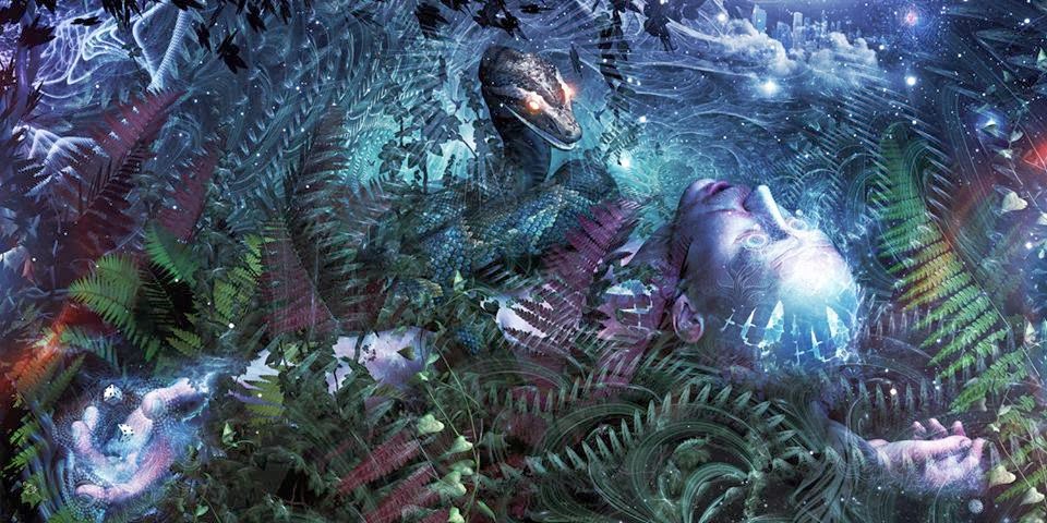 Cromofora La ( Paloma) Contemporary Online Art Gallery: CAMERON GRAY