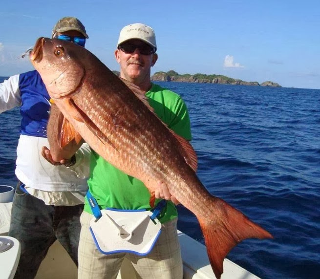Big Fishes of the World: SNAPPER MULLET (Lutjanus aratus)