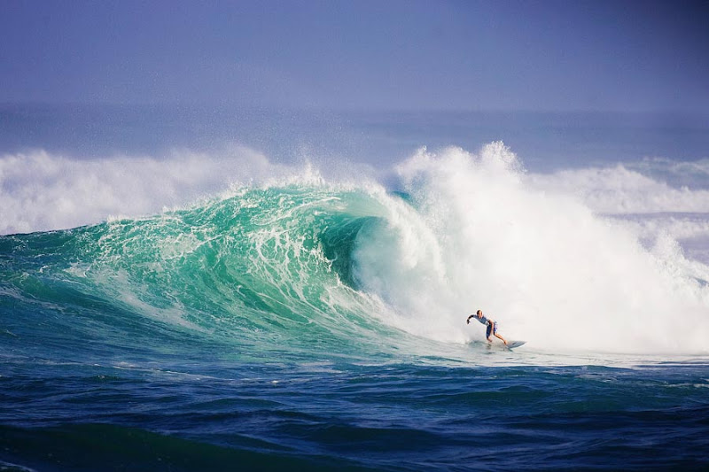 .: Lucia Griggi Photography