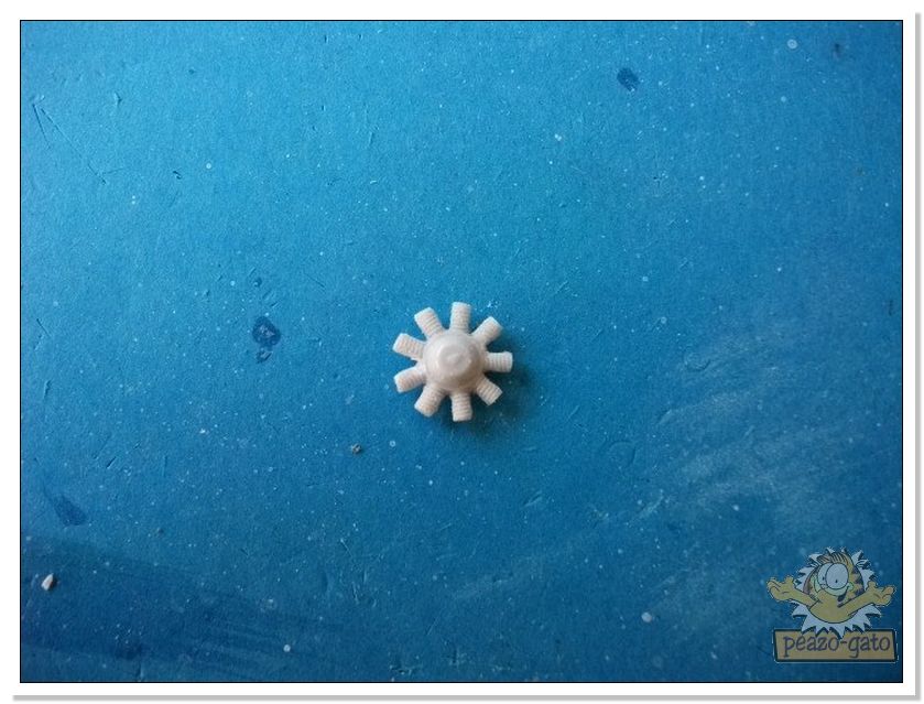 Were Is The Cliterous On A Female