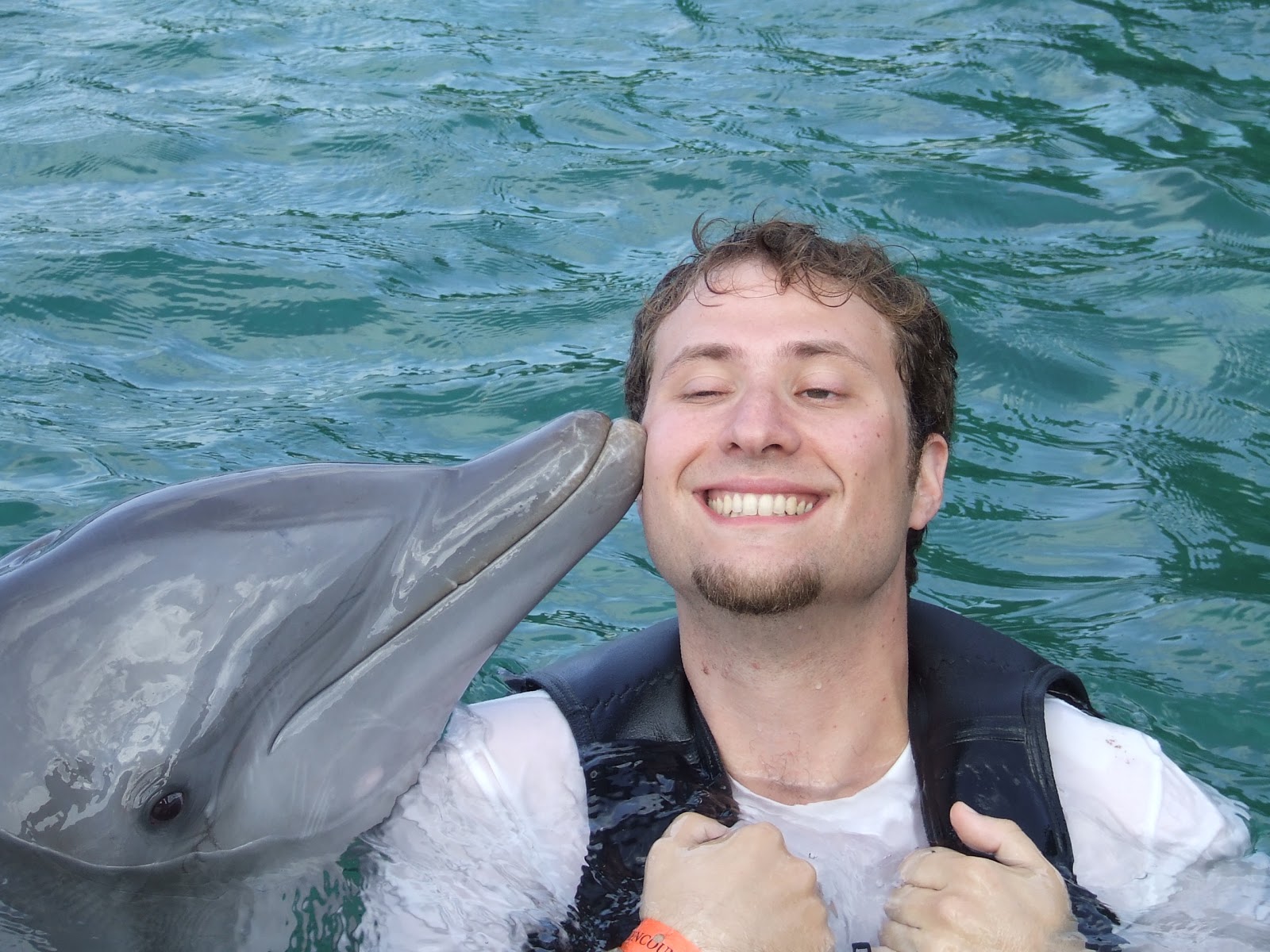 Crowning Victoria: (Wedding Recap) Honeymoon Death Defying & Dolphins Crowning Victoria: (Wedding Recap) Honeymoon Death Defying & Dolphins