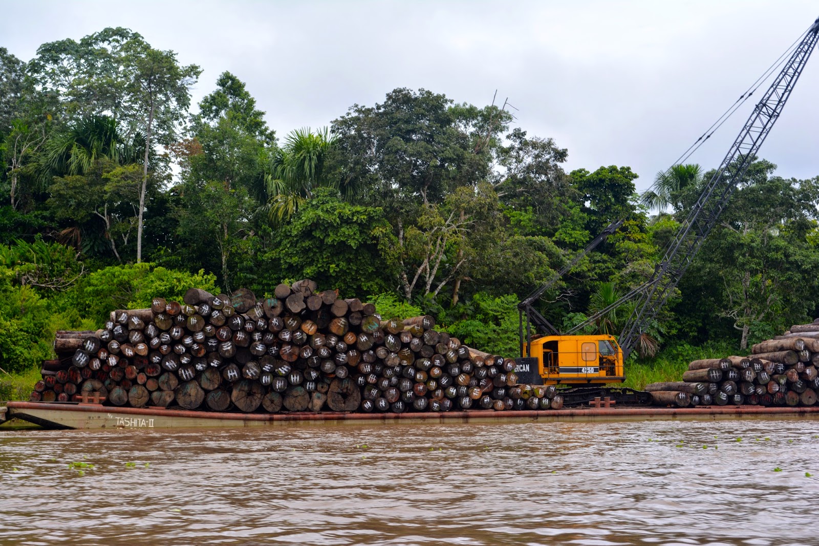 The Thrill on Berryhill ..........................: Amazon