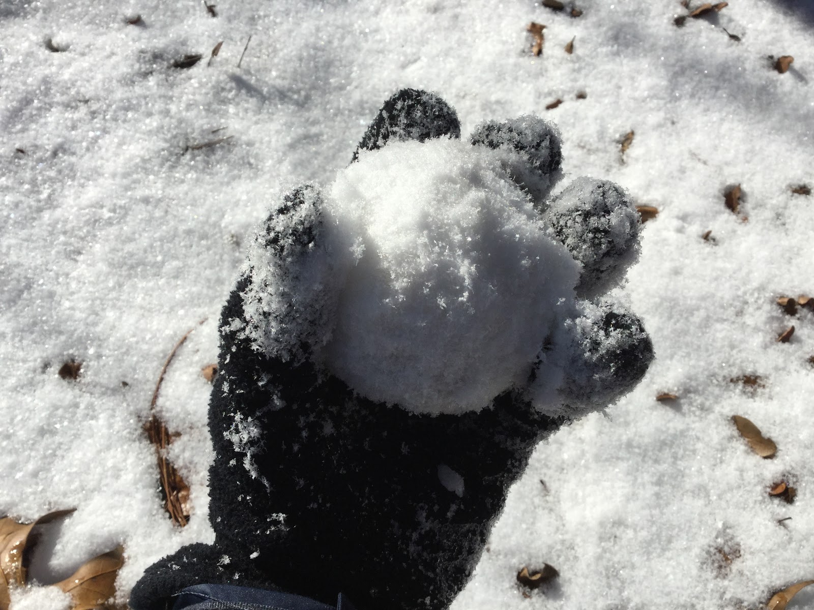 snow in Peach County, Georgia | PHOTOS of the week