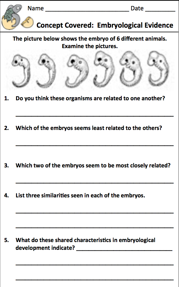 Amy Brown Science: Evolution and Classification Warm Ups and ...