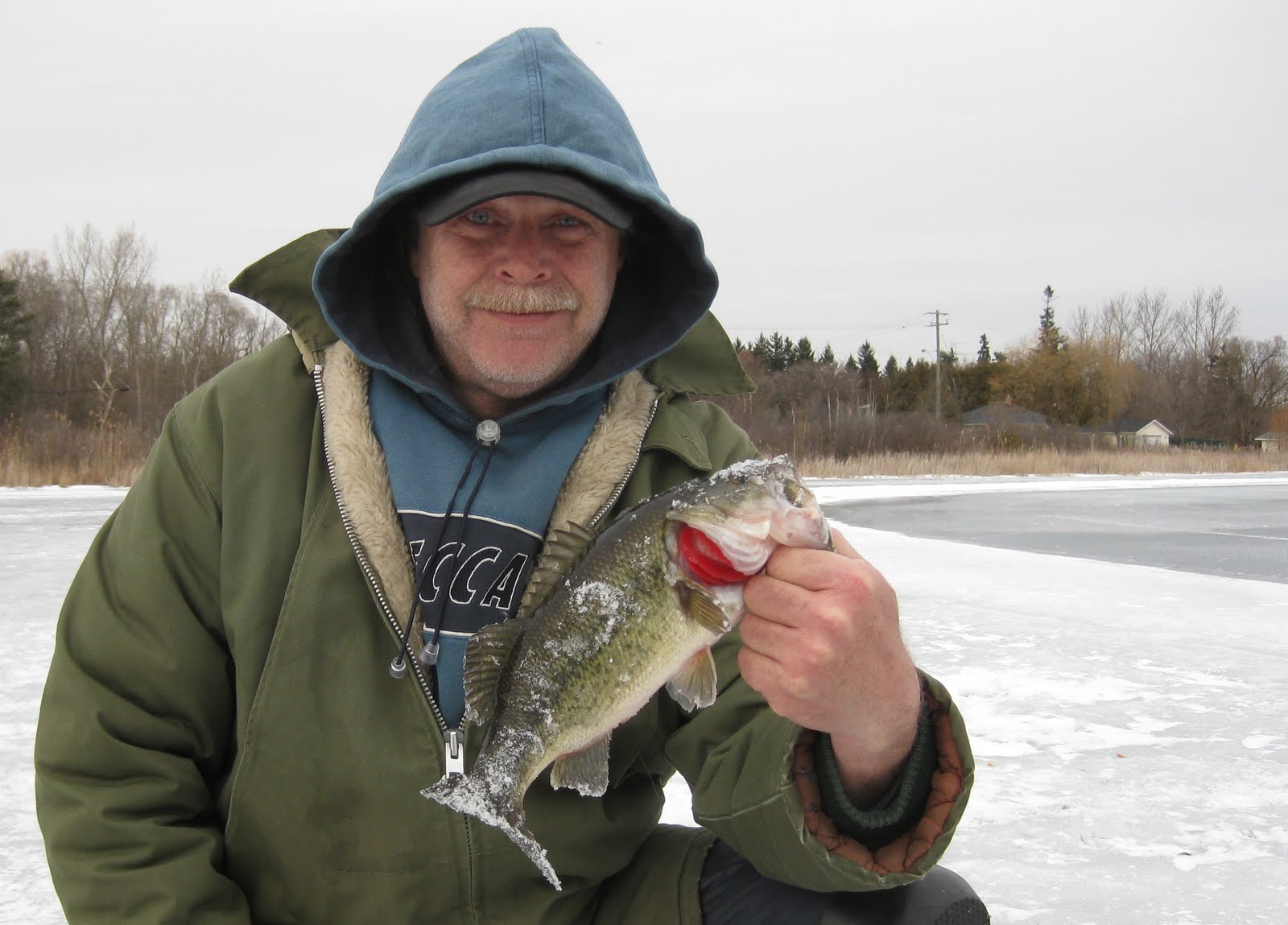 Dead Fisher: Little Lake, Cambridge