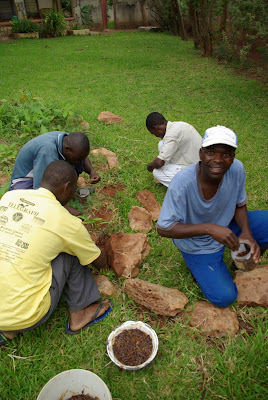 Inswa (Annual Return of the Termites!)