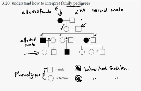 Michelle's Biology (:: 3.20) Pedigree Diagram