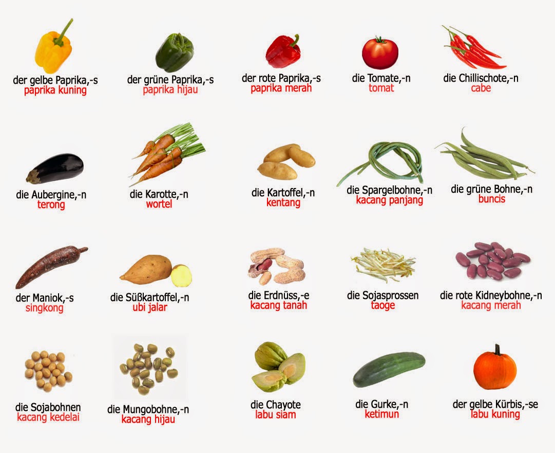 biografi_abie: gambar kosa kata bahasa jerman