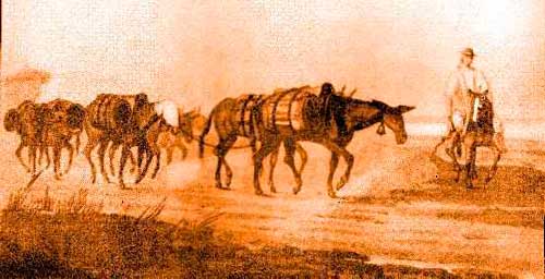 Mi Sala Amarilla: ¿Cómo eran los viajes en la época colonial ...