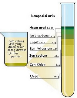 Biology of Science Education.Pascasarjana Sebelas Maret University '13 ...