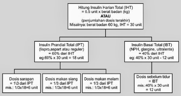 sikkahoder: PENGOBATAN DIABETES MELITUS DENGAN INSULIN PADA PASIEN ...