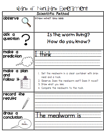 Sarah's First Grade Snippets: Living and Nonliving