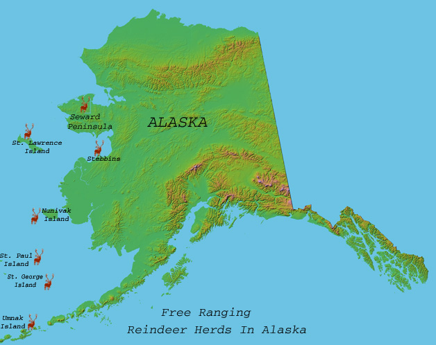 Tripping on Dingo Daisy: The Island of Alaska, Part 1