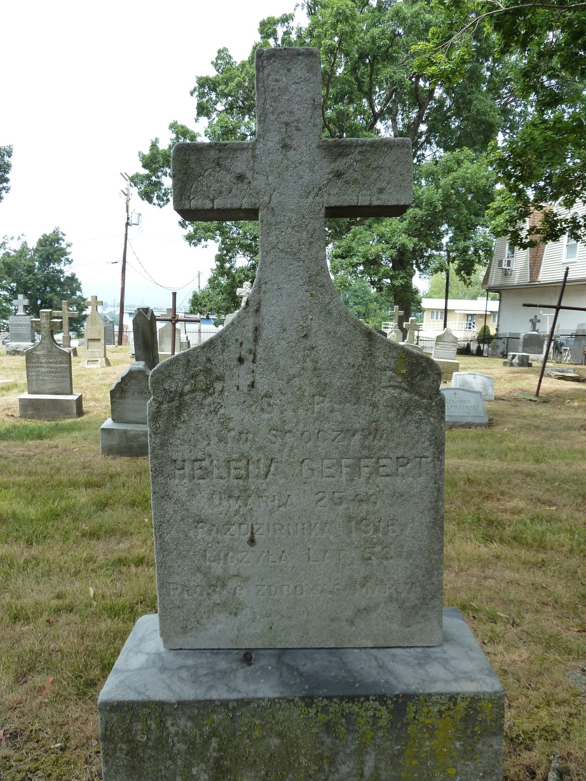 The Raykovitz Chronicles: Pics of Ray: Mini-Intermission