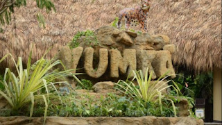 Visita México: Yumka: Tienes que visitar