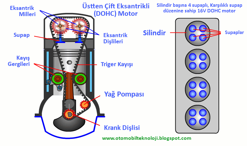 DOHC Motor Nedir? Özellikleri ve Yapısı - Üstten Çift Eksantrikli Motor