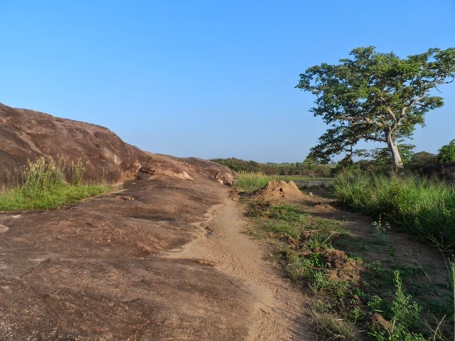 Uncommon Paths: Thonigala Rock Inscriptions