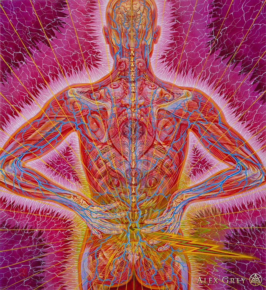 "Progress Of The Soul" por Alex Grey Part.1 | Psychedelia