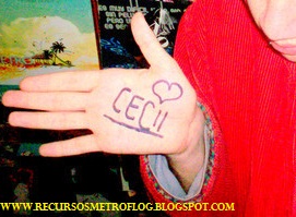 ¿Qué es un Zing? | Recursos Metroflog