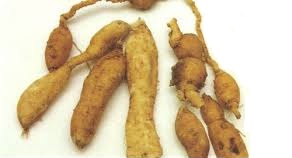 MEDICINA NATURAL PARAGUAY: Batatilla: una hierba típica del Paraguay